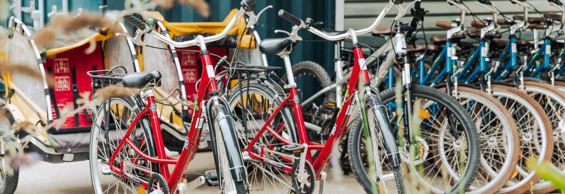 Location de vélos en Vendée : découvrez la Vendée à vélo
